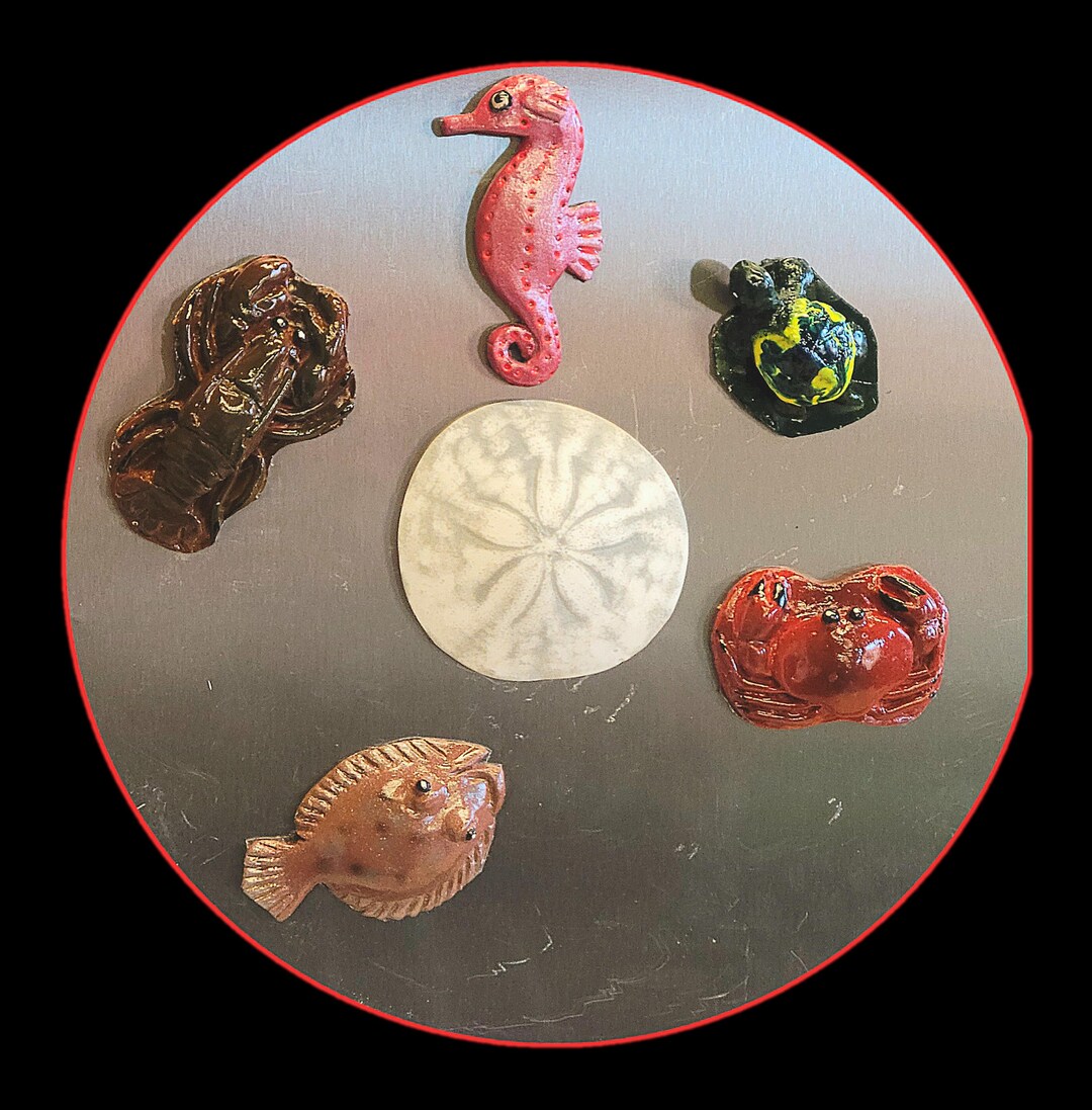6 Different Animal Fridge Magnets Gifts Sand Dollar Turtles Lobster ...