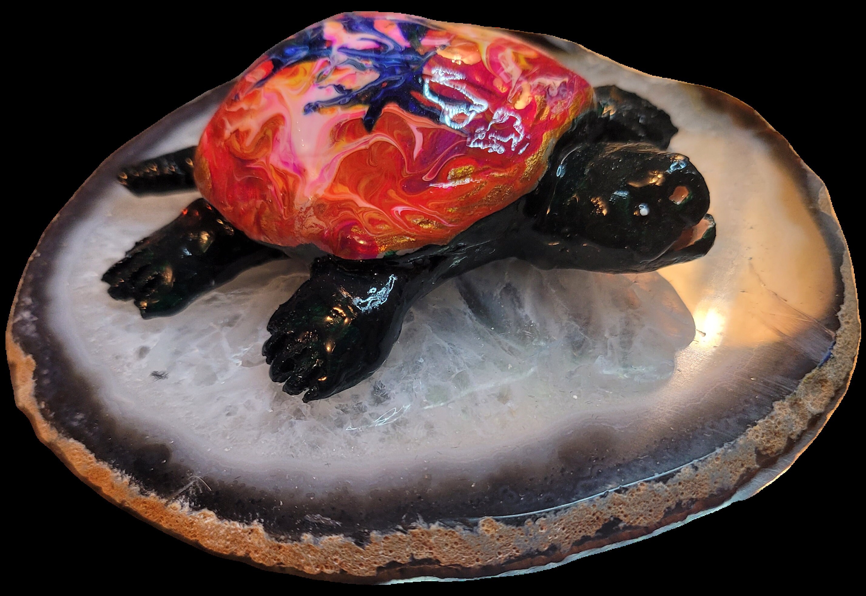 A Snapping Turtle Resting on a Stone Agate. Beautiful Gift Idea, Sea ...