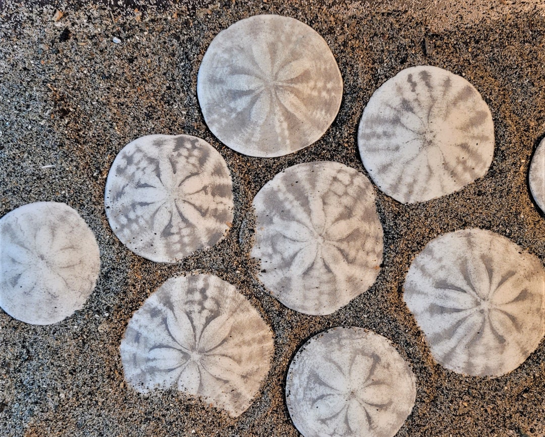 Resin Sand Dollars: Beach Decor, Coastal Crafts (10 Piece Set) - Etsy