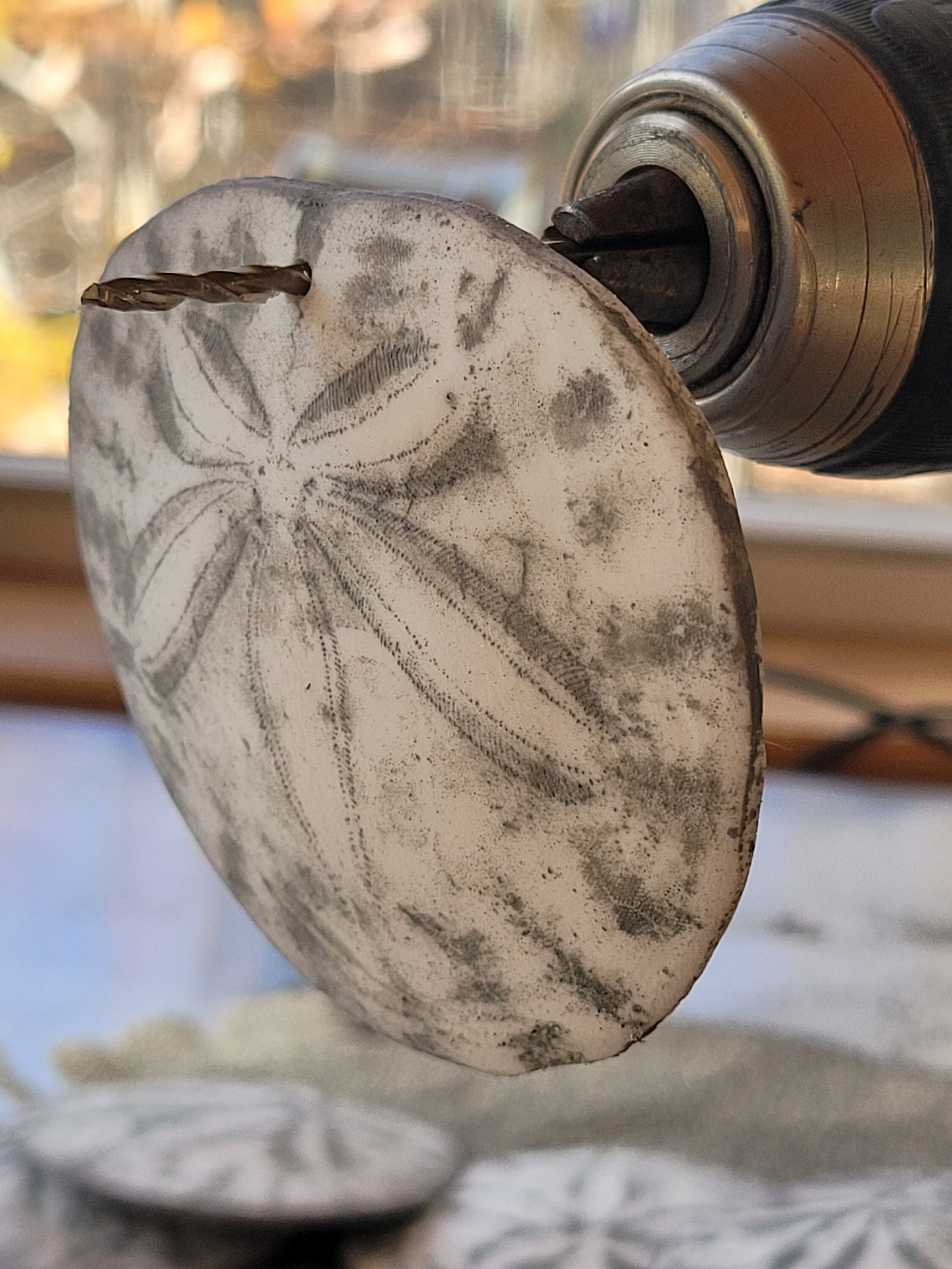 Resin Sand Dollars: Beach Decor, Coastal Crafts (10 Piece Set) - Etsy