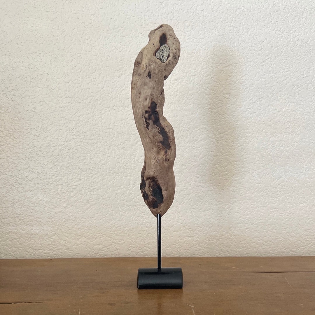 Natural Driftwood With Encased Granite Stone Home Decor Mounted Display ...