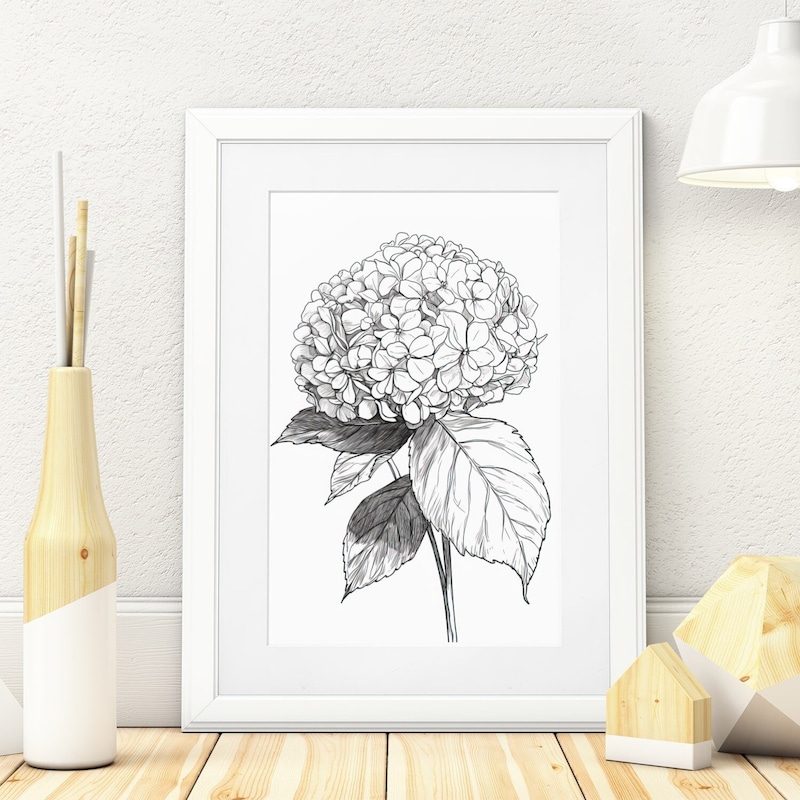 Hydrangea Line Art - Etsy
