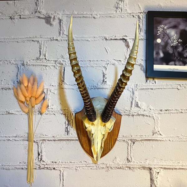 Sheep Head Wall Art - Etsy