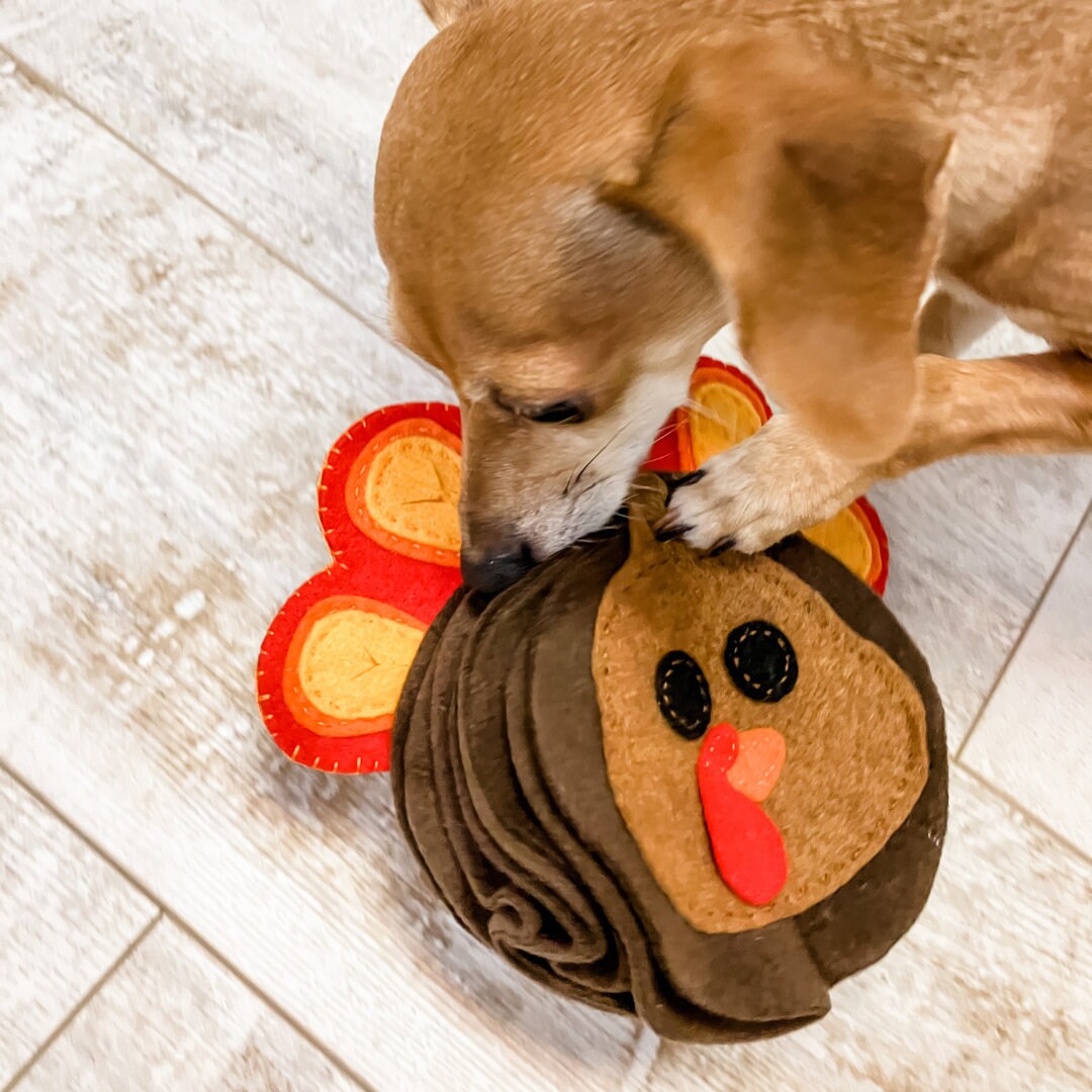 Snuffle Toy DIY Bundle: Thanksgiving, Snuffle Ball Toy, Digital ...