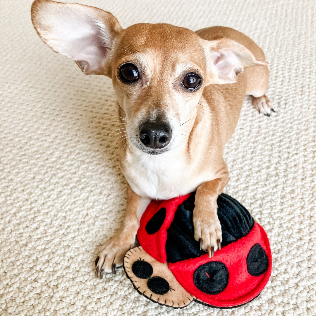 DIY Snuffle Toy Ladybug, Snuffle Ball Toy, Digital Download PDF Pattern ...