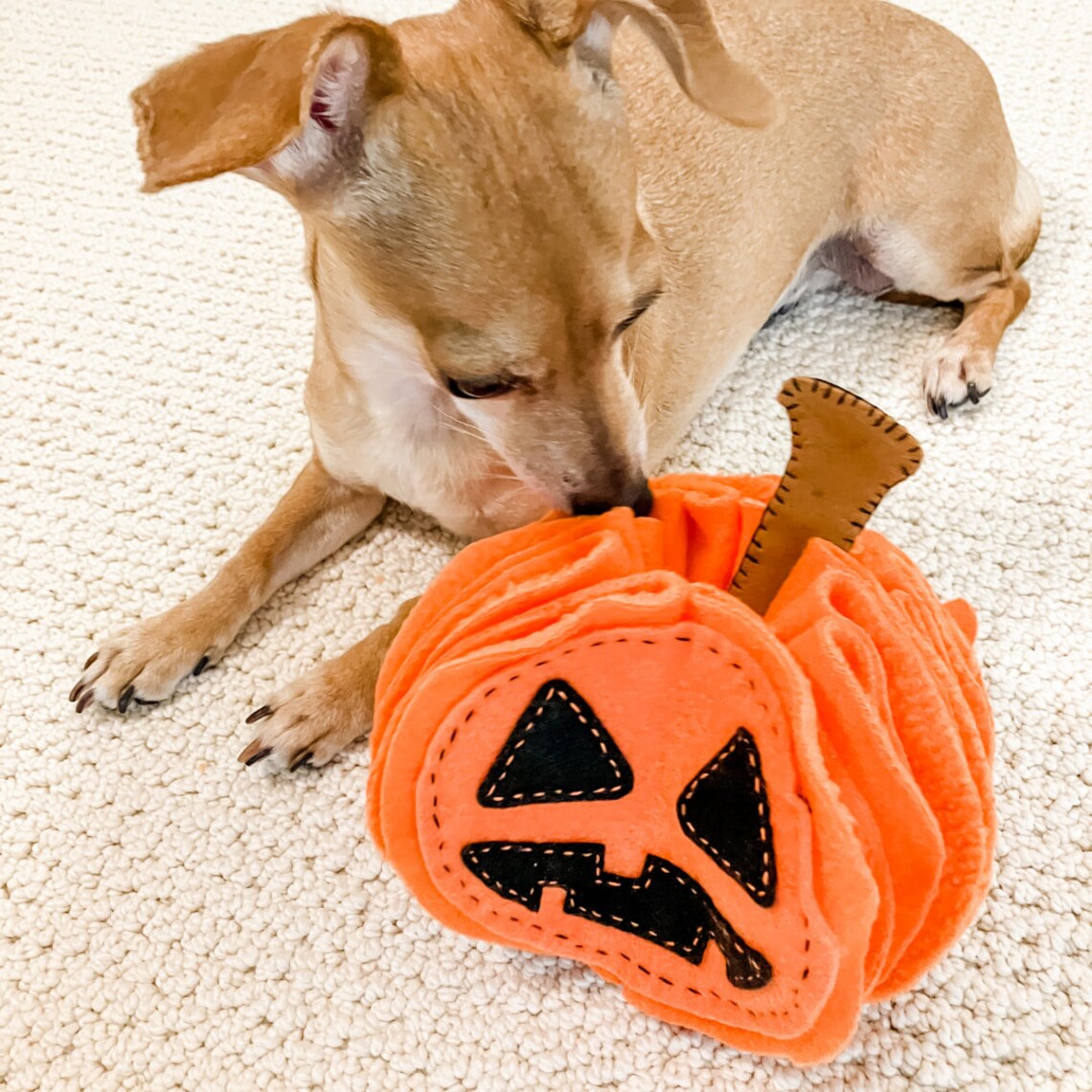 DIY Jack-o-lantern Pumpkin Snuffle Dog Toy Craft Kit (download PDF ...