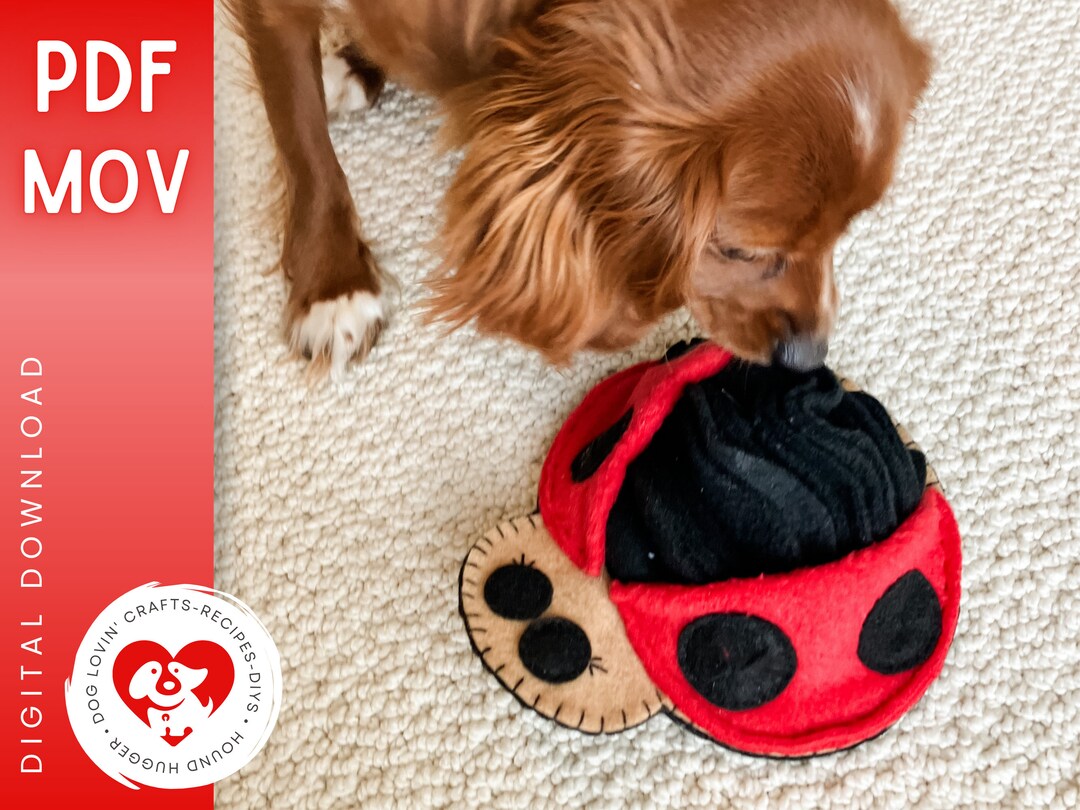 DIY Snuffle Toy Ladybug, Snuffle Ball Toy, Digital Download PDF Pattern ...