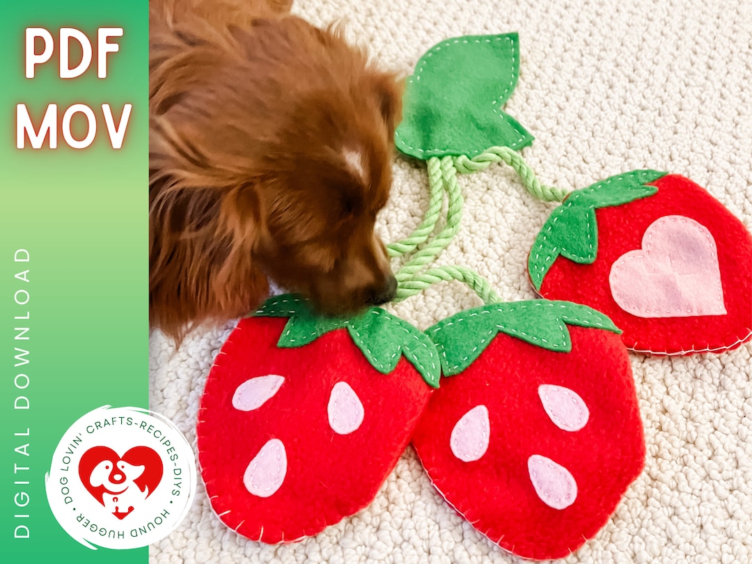 DIY Strawberries Snuffle Dog Toy Craft Kit (download PDF Pattern & Sew ...
