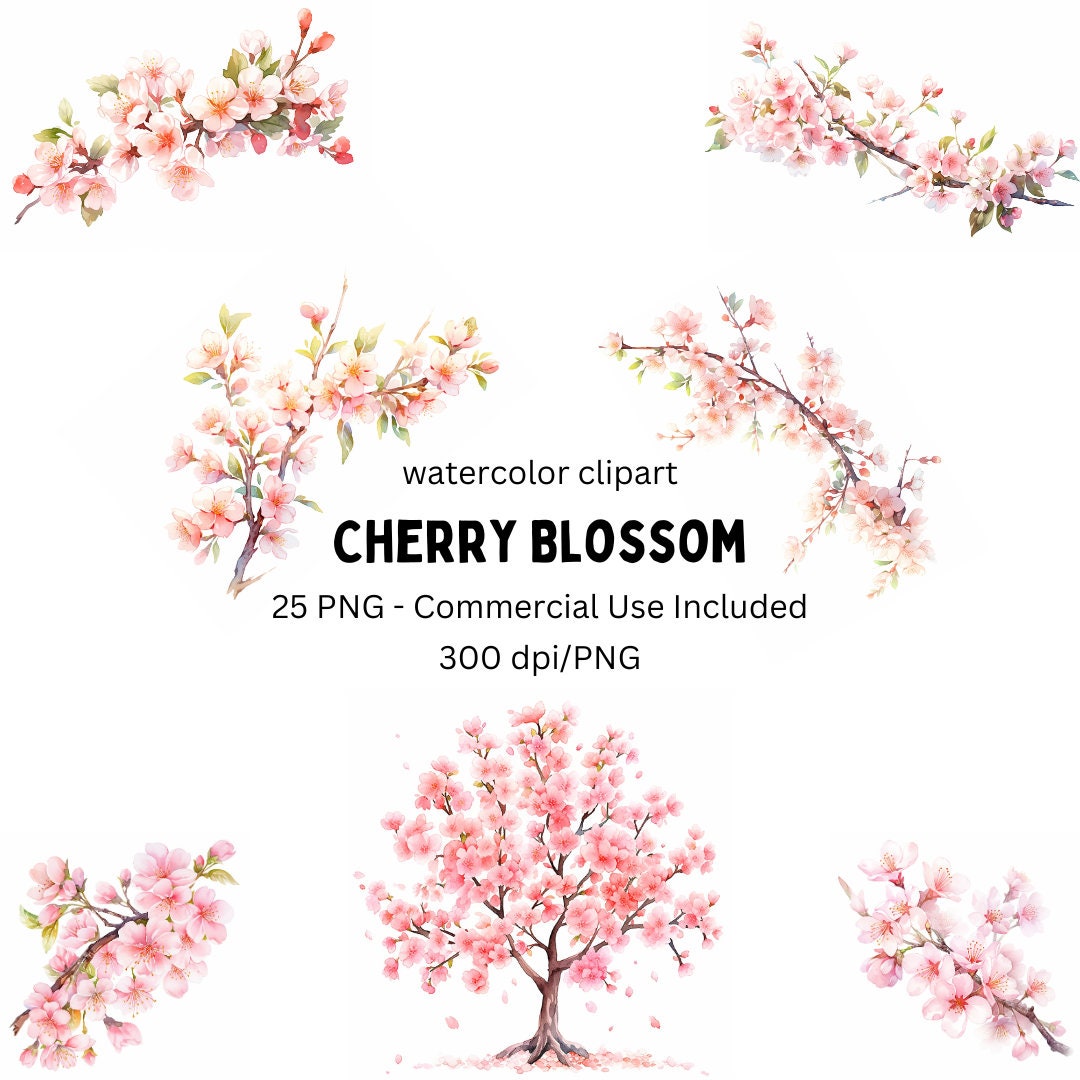 25 Cherry Blossom Clipart | Watercolor Cherry Blossom | Spring Clipart ...
