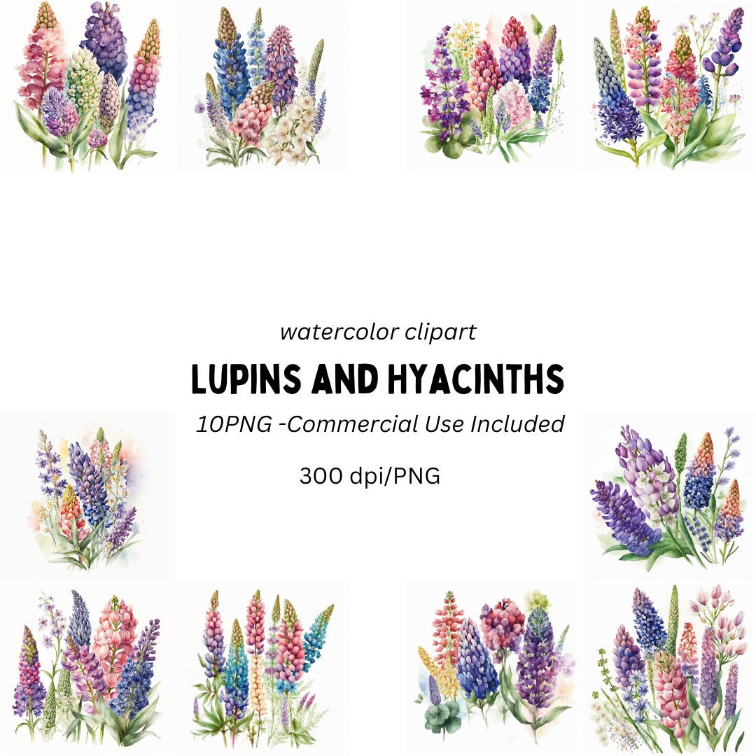 10 Lupins and Hyacinths Clipart | Watercolor Lupins and Hyacinths ...