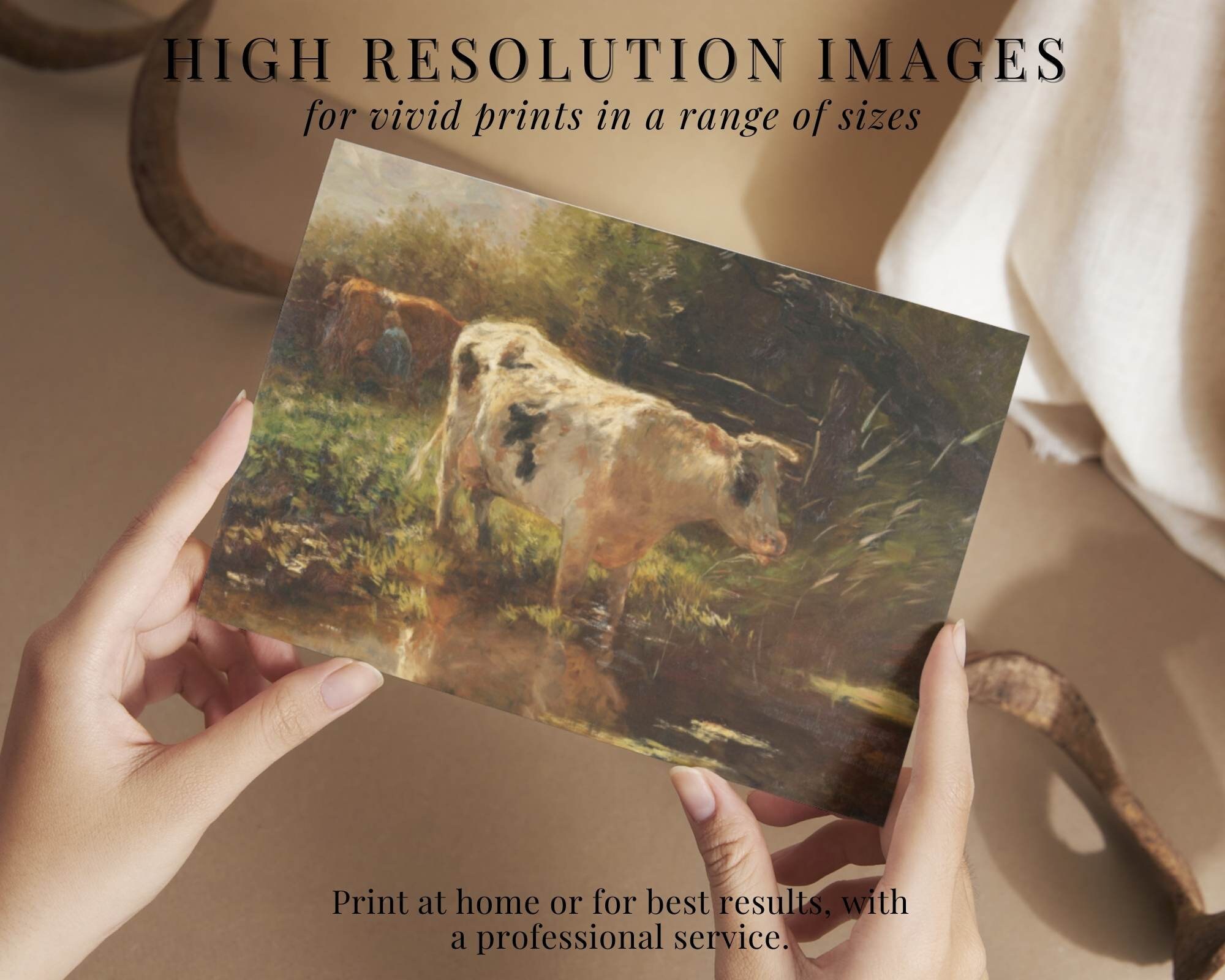 Vintage Farm Life Art With Cows Printable Wall Art Instant Download ...