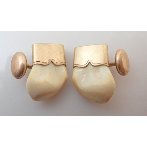 antique elks tooth - Gem