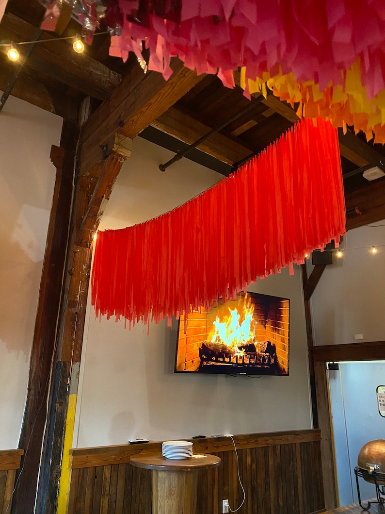 Colorful Ceiling Fringes, Ceiling Streamers, Bachelorette/graduation ...