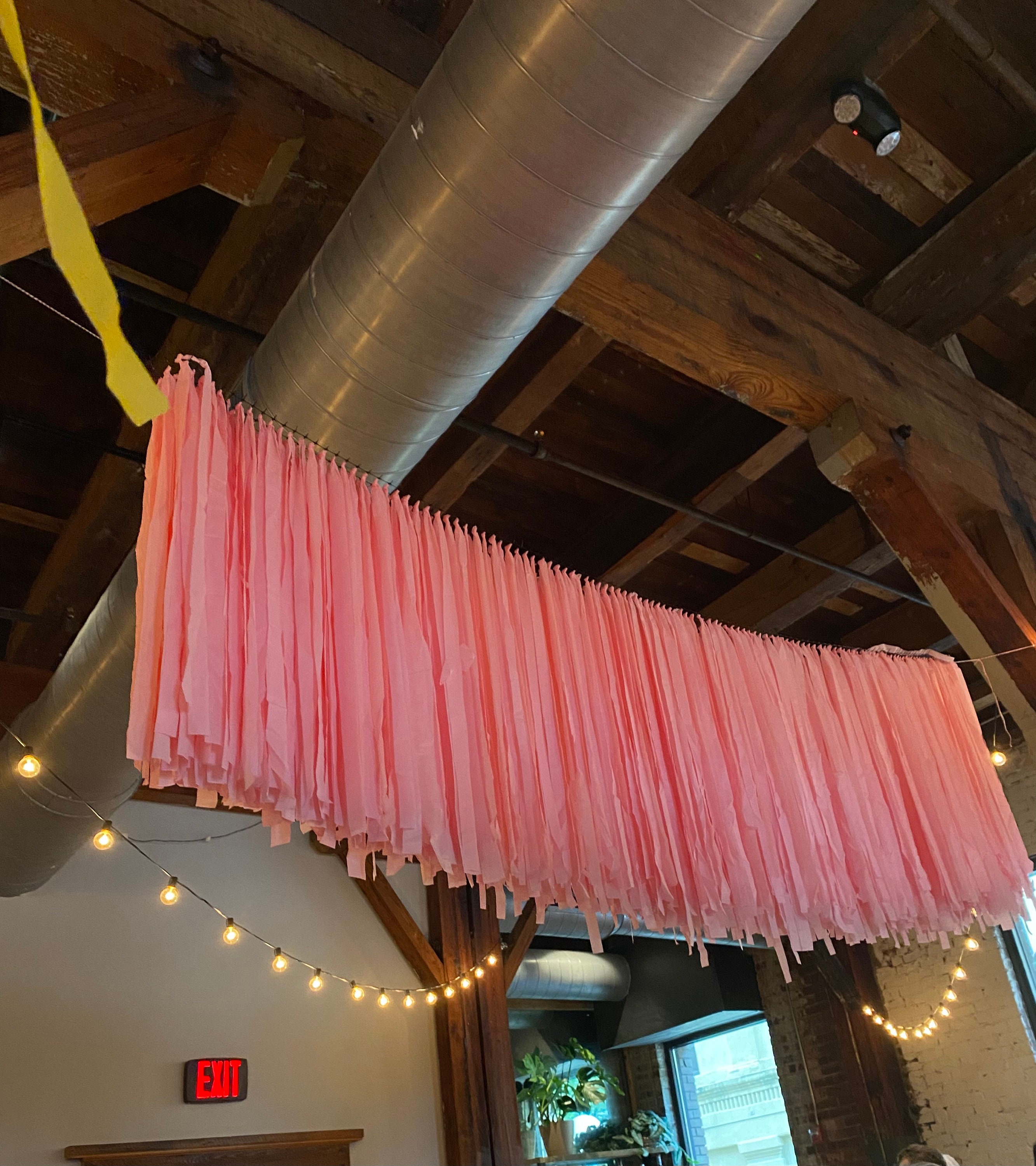 Colorful Ceiling Fringes, Ceiling Streamers, Bachelorette/graduation ...