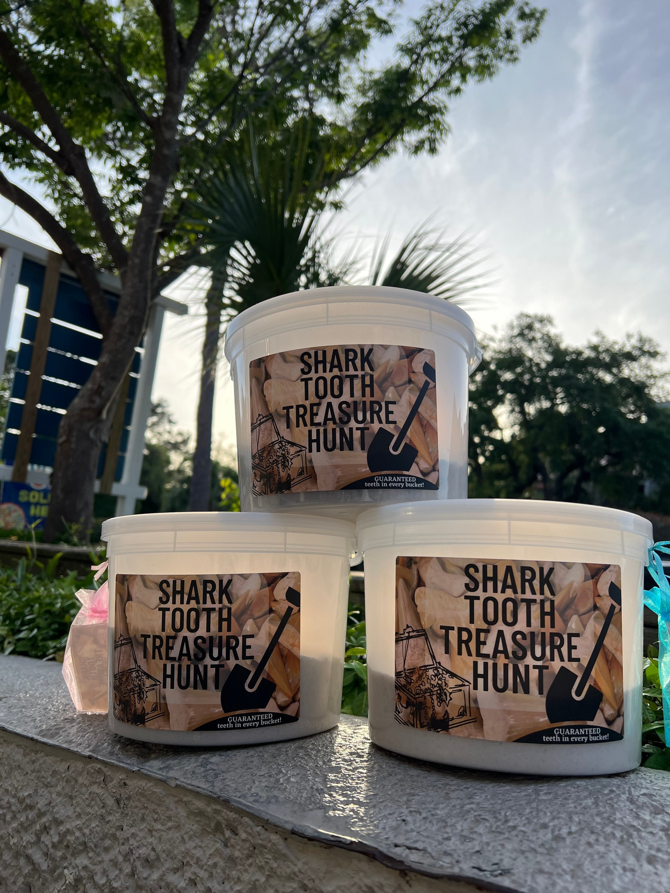 Shark Tooth Dig Kit/treasure Hunt Bucket (guaranteed FUN!) - Etsy