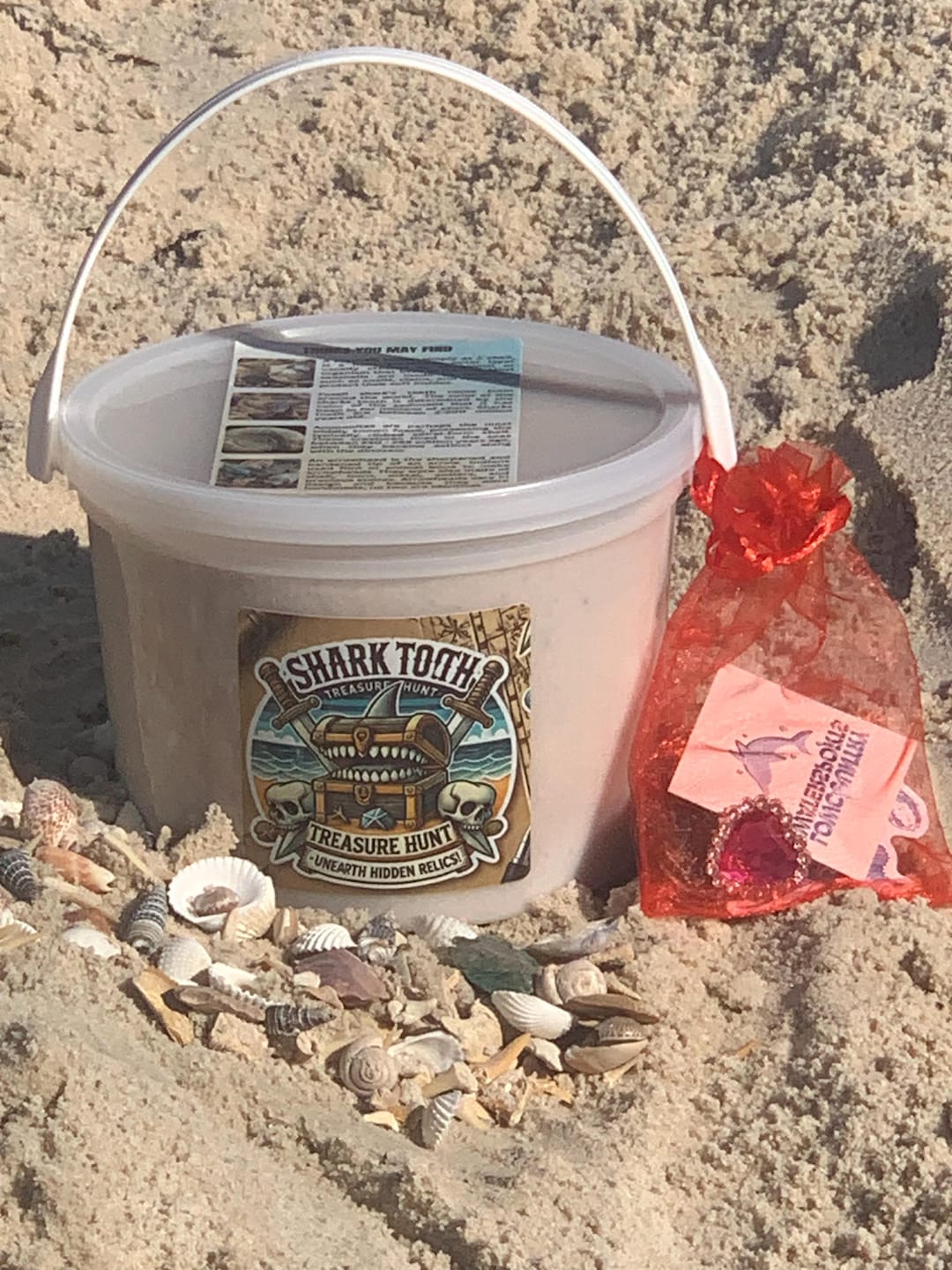 Shark Tooth Dig Kit/treasure Hunt Bucket (guaranteed FUN!) - Etsy