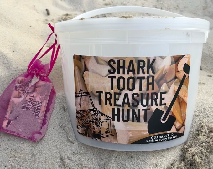 Shark Teeth Dig Bucket, Shark Teeth, Shark Gifts, Shark Themed Party ...