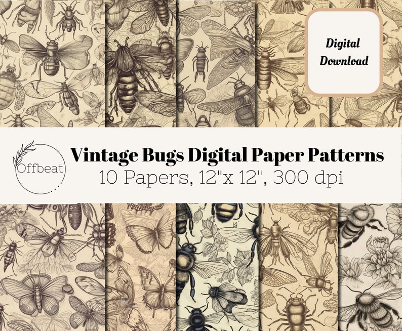 Vintage Insect Seamless Digital Pattern Papers - Etsy