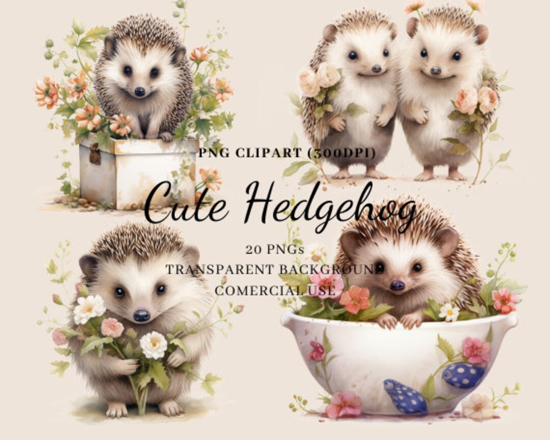 20-cute Hedgehog Watercolor Clipart High Quality PNG - Etsy