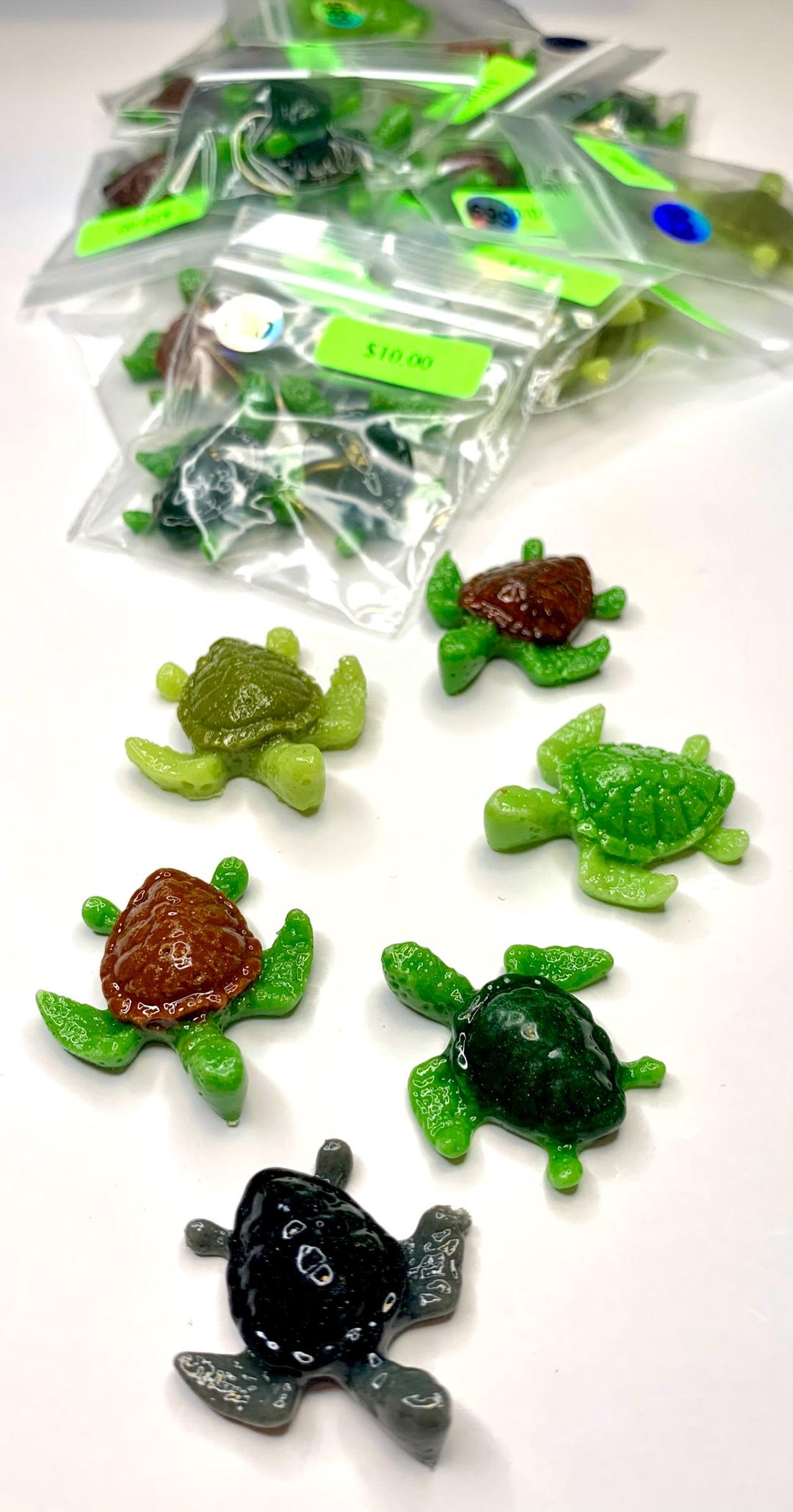 COE 96 Fused Glass Turtle: Handmade Coastal Art Supplies - Etsy