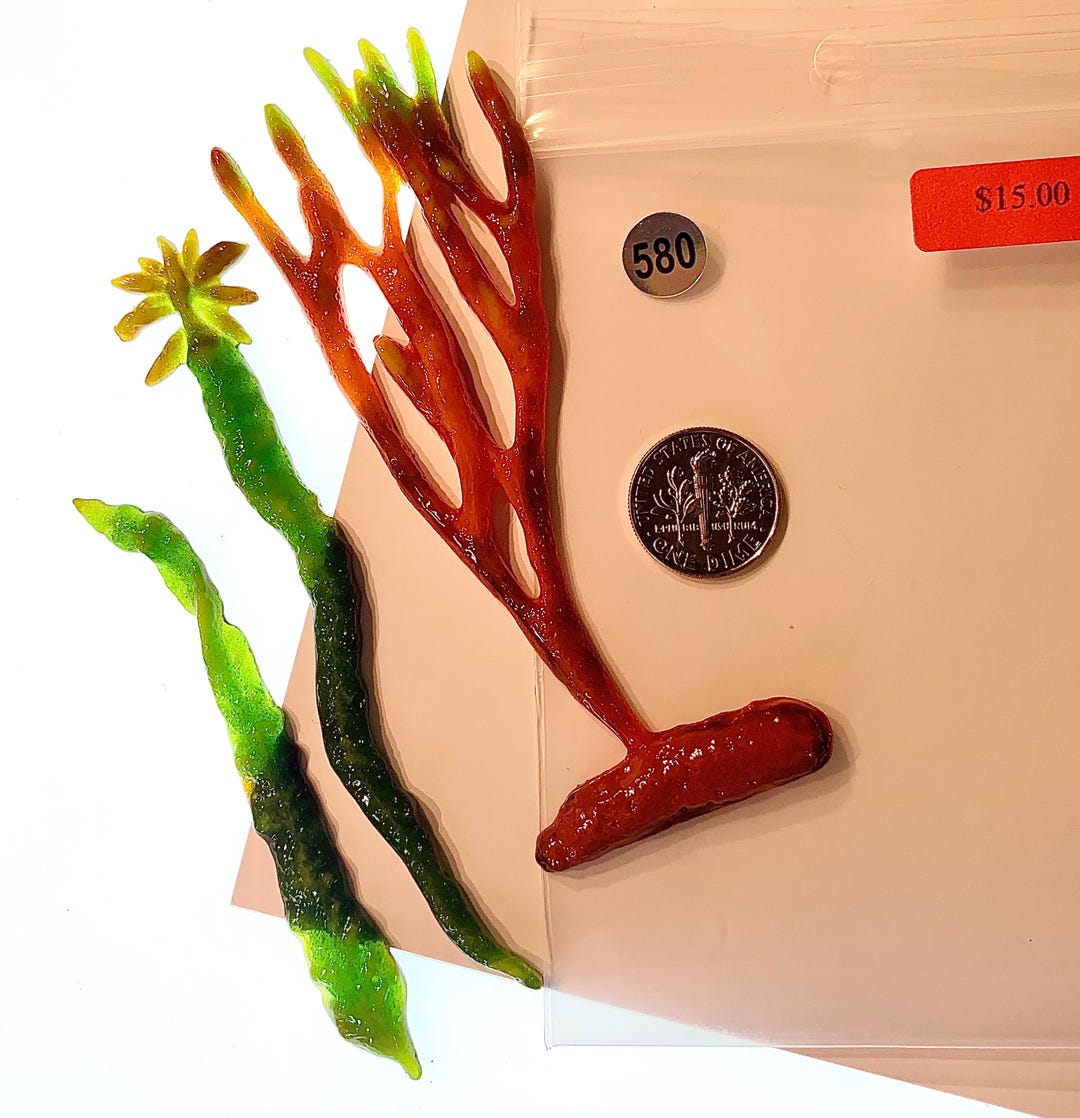 COE 96 Fused Glass Ocean Seaweed, Sea Grass - for Fusing, Handmade ...