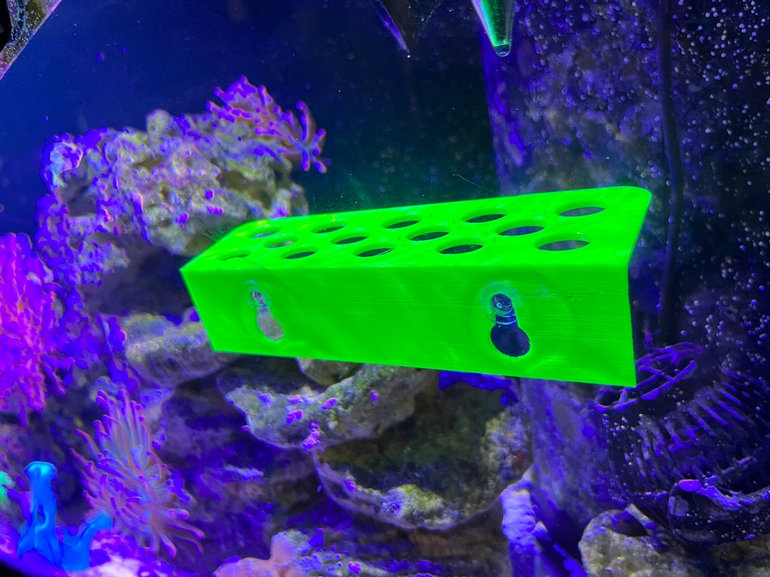 Frag Rack Suction Cup Five Dollar Flat Shipping - Etsy