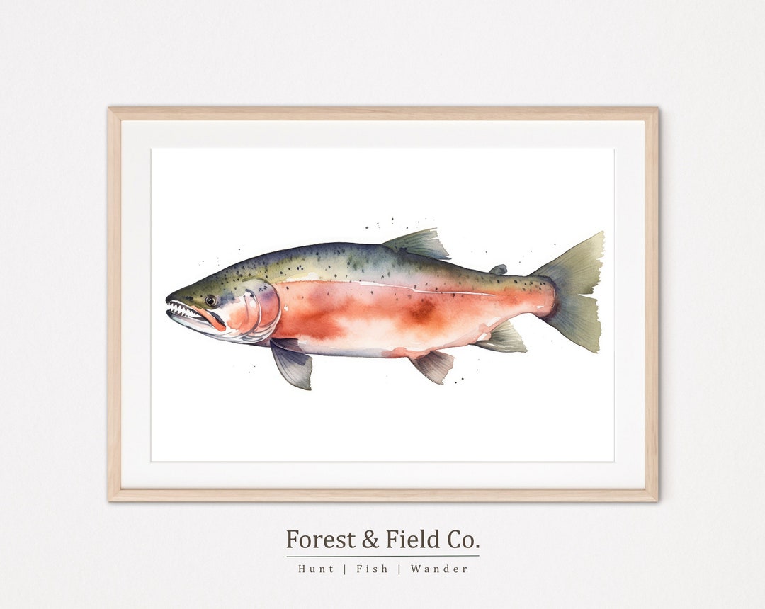 Salmon Watercolor Art Print, Modern Minimalist Decor (digital Download ...
