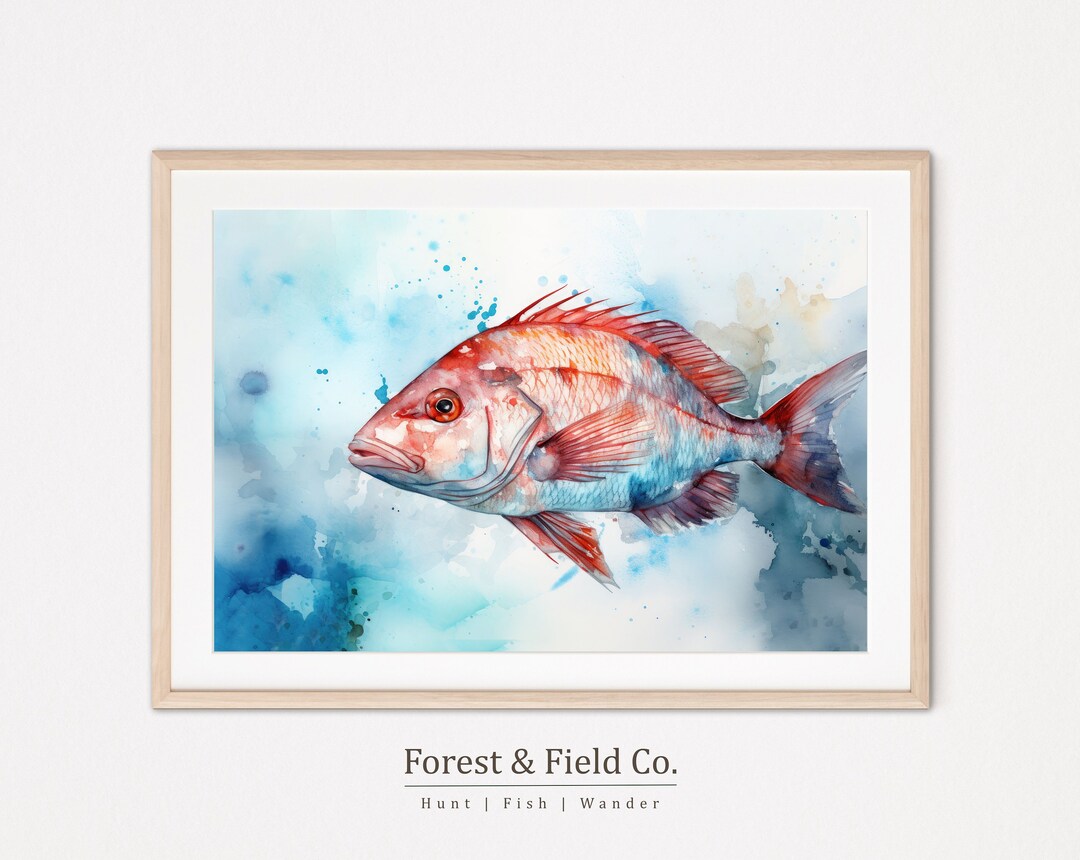 Red Snapper Majesty Wall Art - Printable Digital Download for Fishing ...