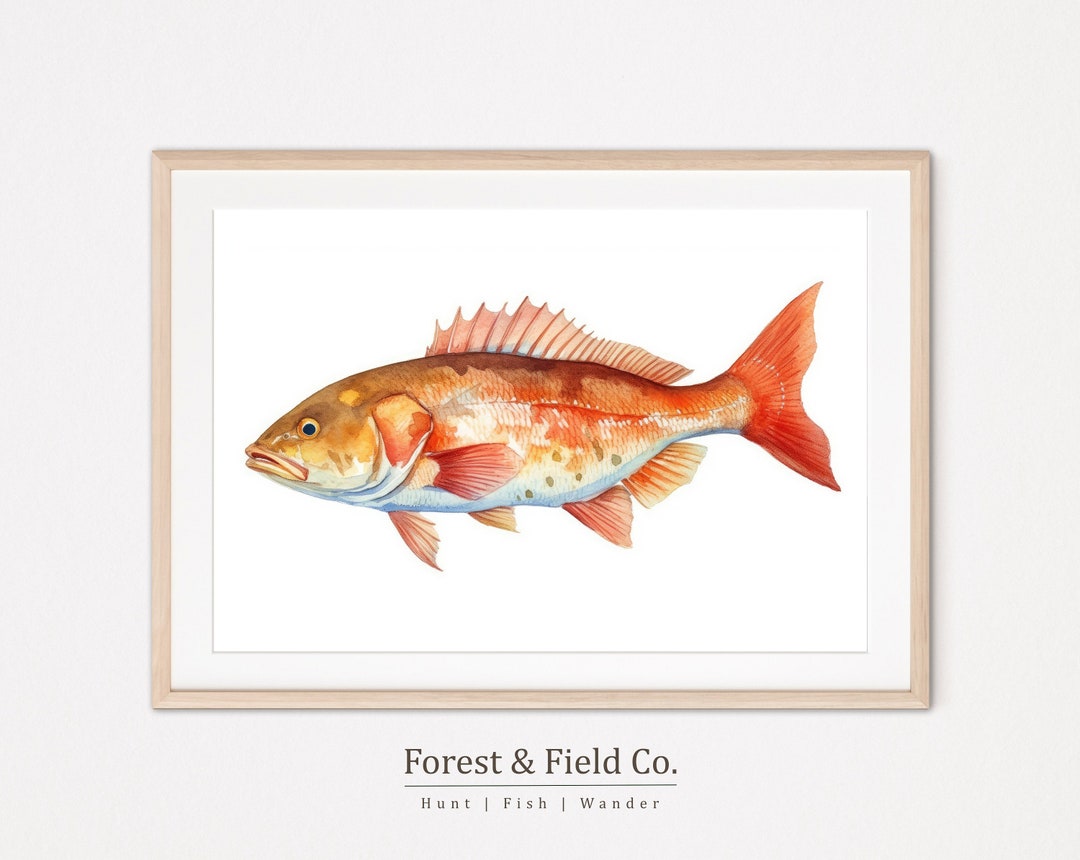 Redfish Fishing Art Print, Angler Wall Decor (digital Download) - Etsy