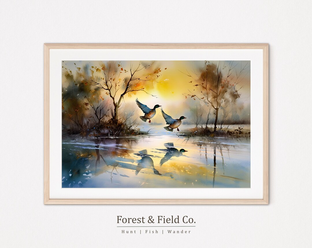 Embark on a Visual Journey With Our Duck Prints, Capturing the Grace ...