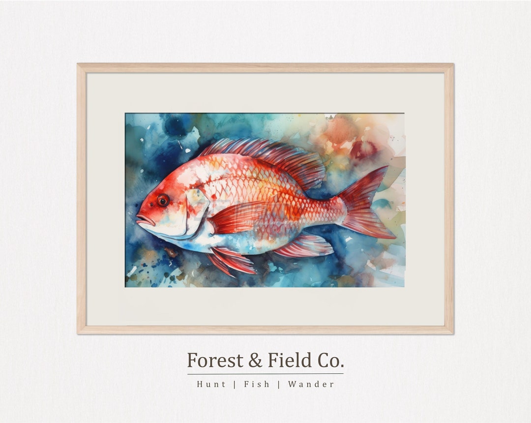 Red Snapper Wall Art for Fishing Lodge Decor | Gulf of Mexico Red ...