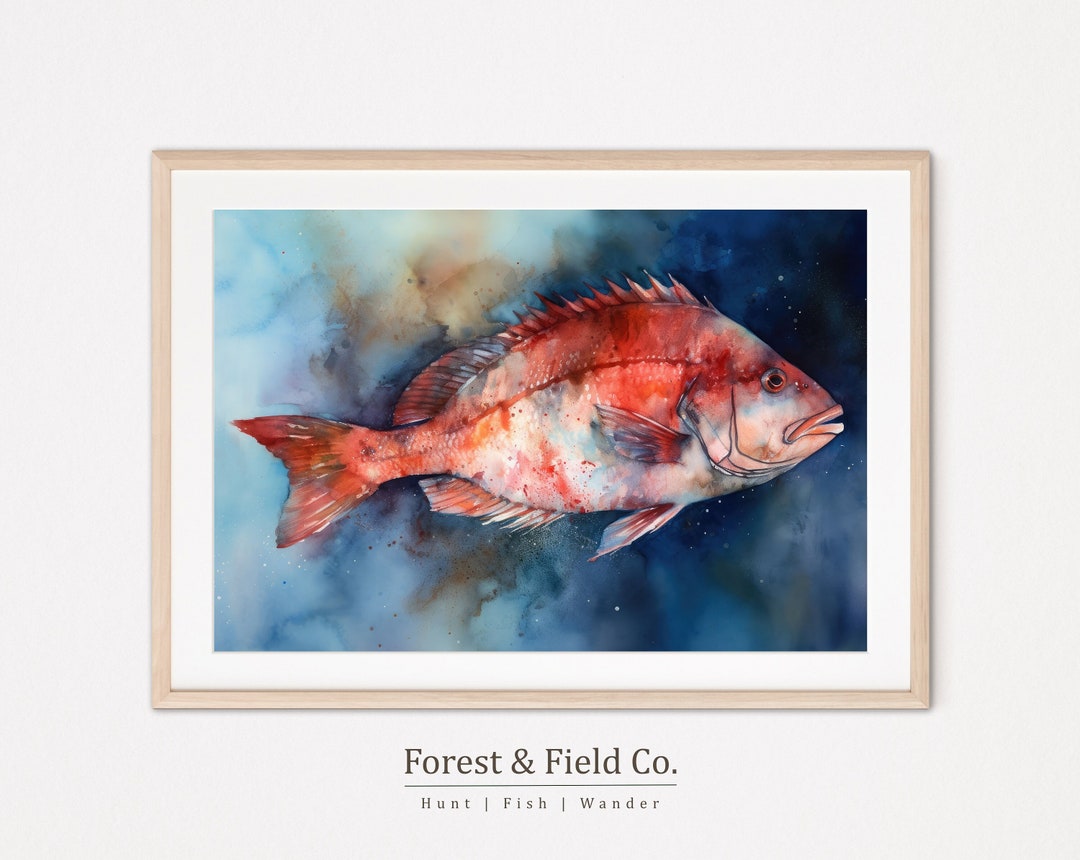 Red Snapper Waters Watercolor Painting Printable Wall Art - Etsy