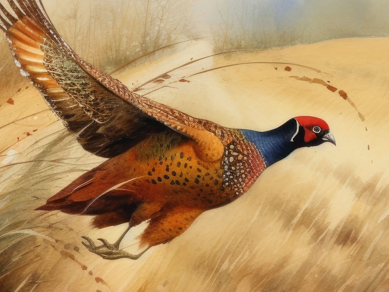 Rustic Pheasant Hunting Decor Majestic Pheasant and Landscape Art ...