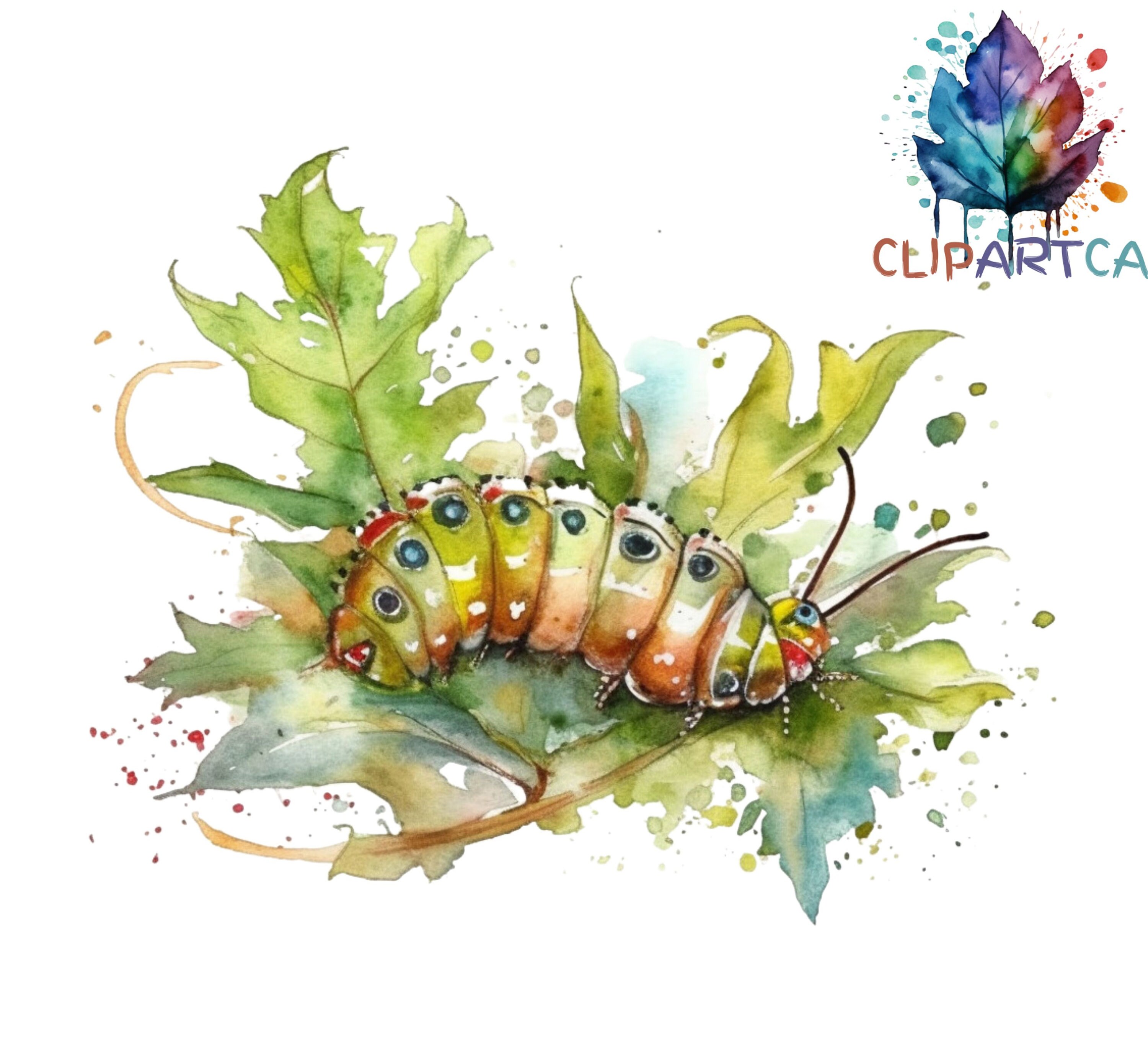 9 Watercolor Caterpillars Clipart-baby Clipart, Animal Clipart ...