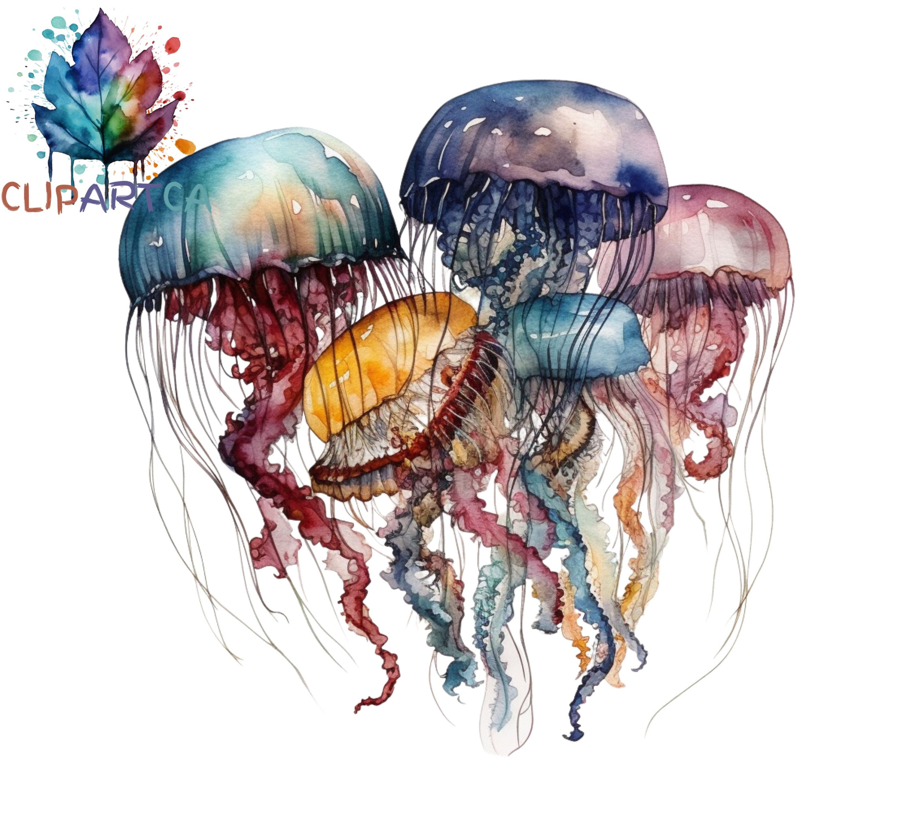 9 Watercolor Jelly Fish Clipart, Jelly Fish Clipart, Cute Jellyfish ...