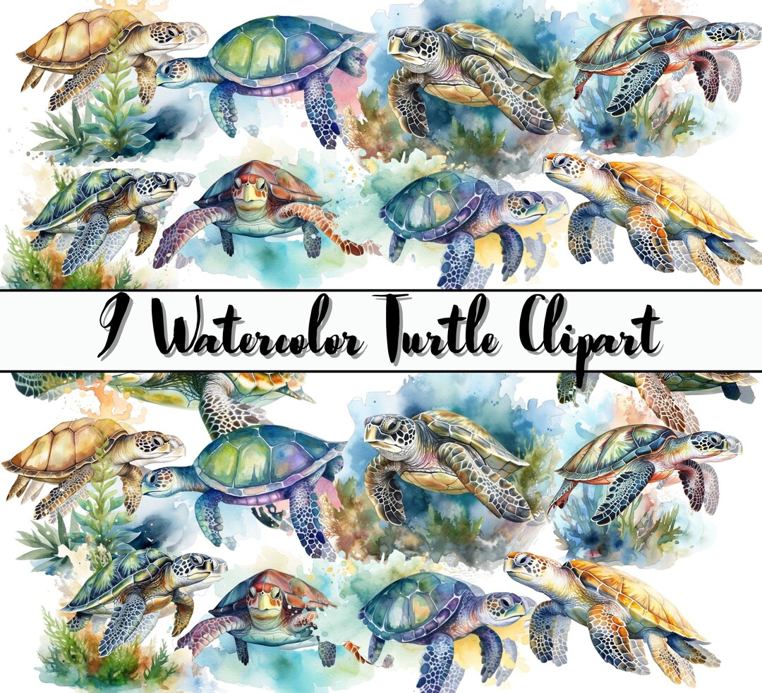 9 Watercolor Turtle Clipart Instant Download for Commercial Use ...
