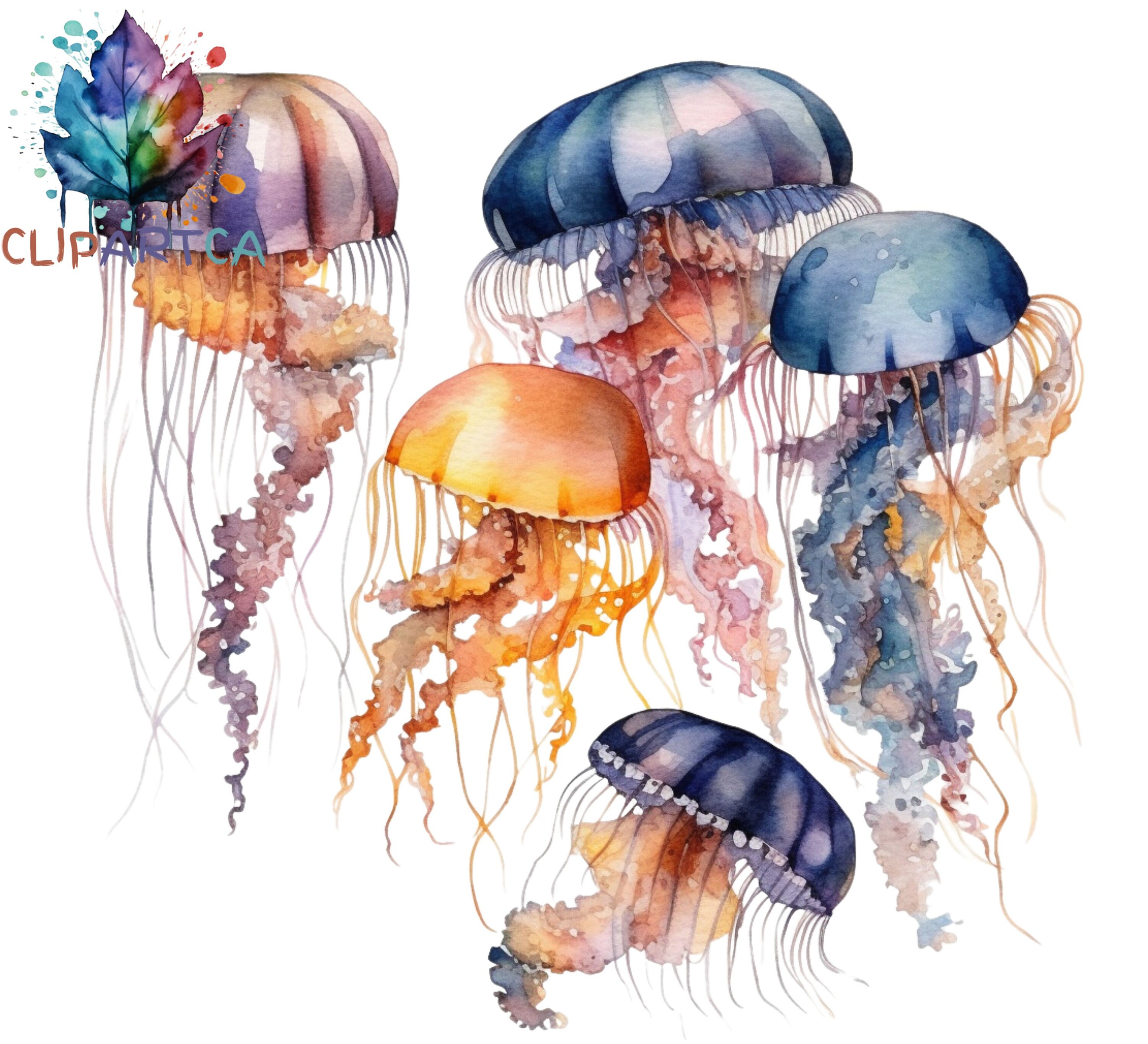 9 Watercolor Jelly Fish Clipart, Jelly Fish Clipart, Cute Jellyfish ...