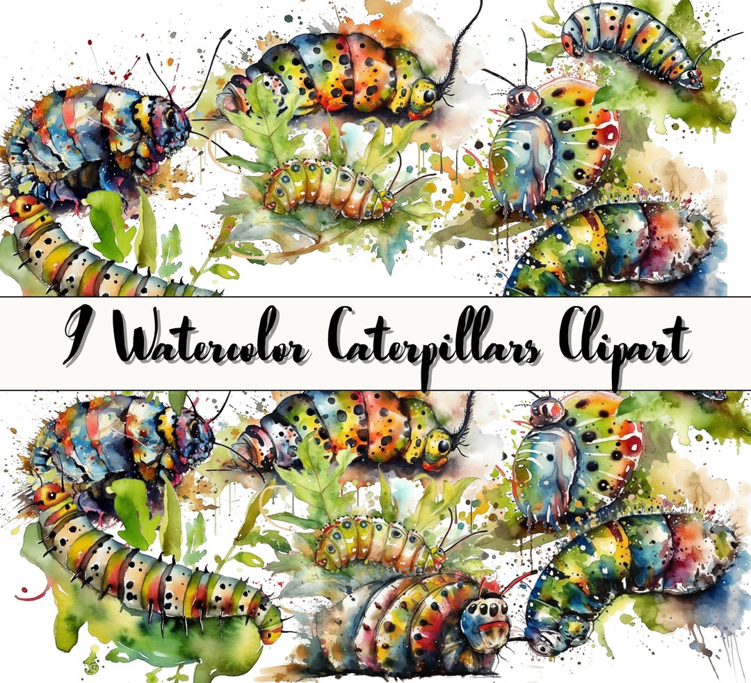 9 Watercolor Caterpillars Clipart-baby Clipart, Animal Clipart ...