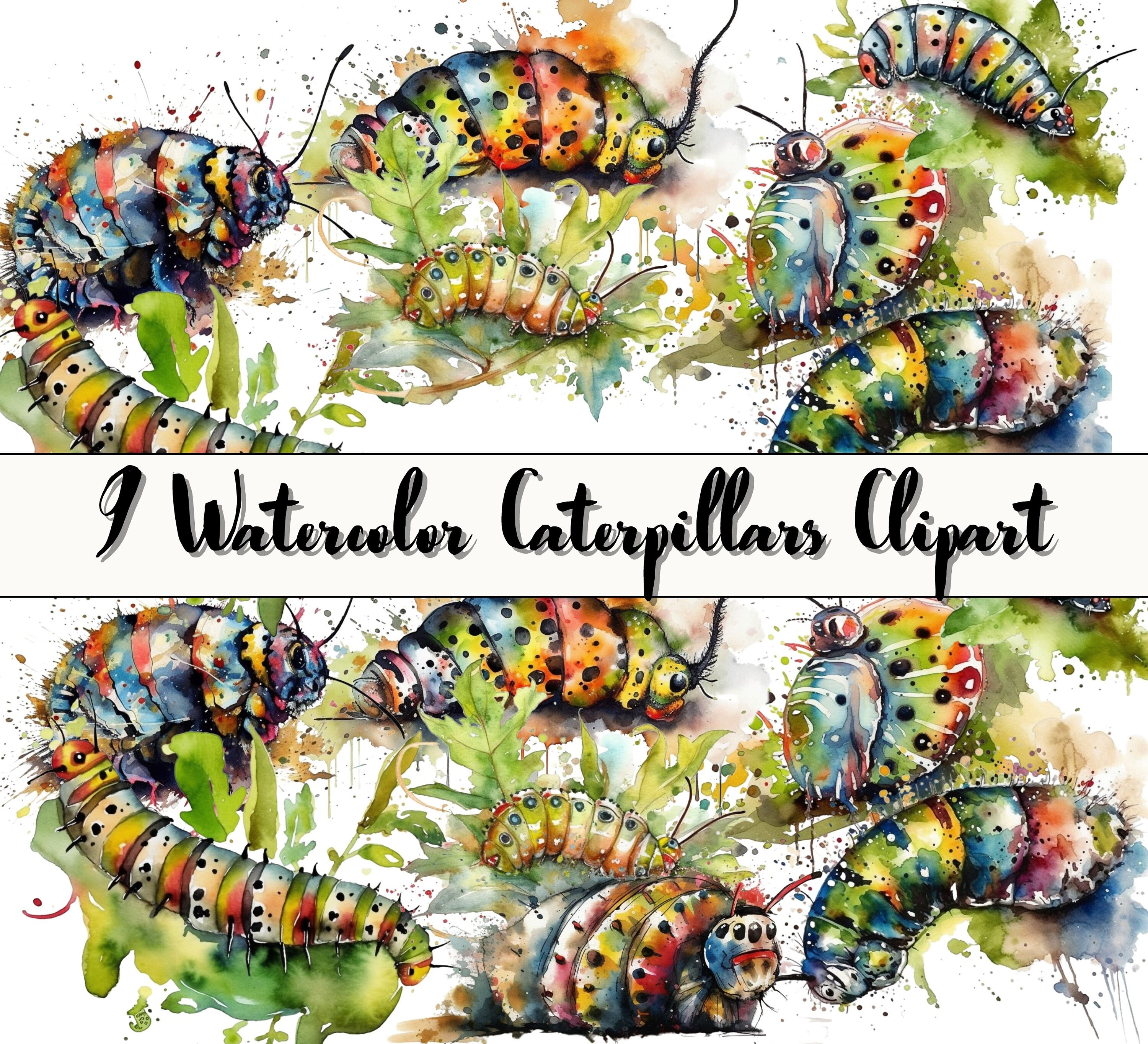 9 Watercolor Caterpillars Clipart-baby Clipart, Animal Clipart ...