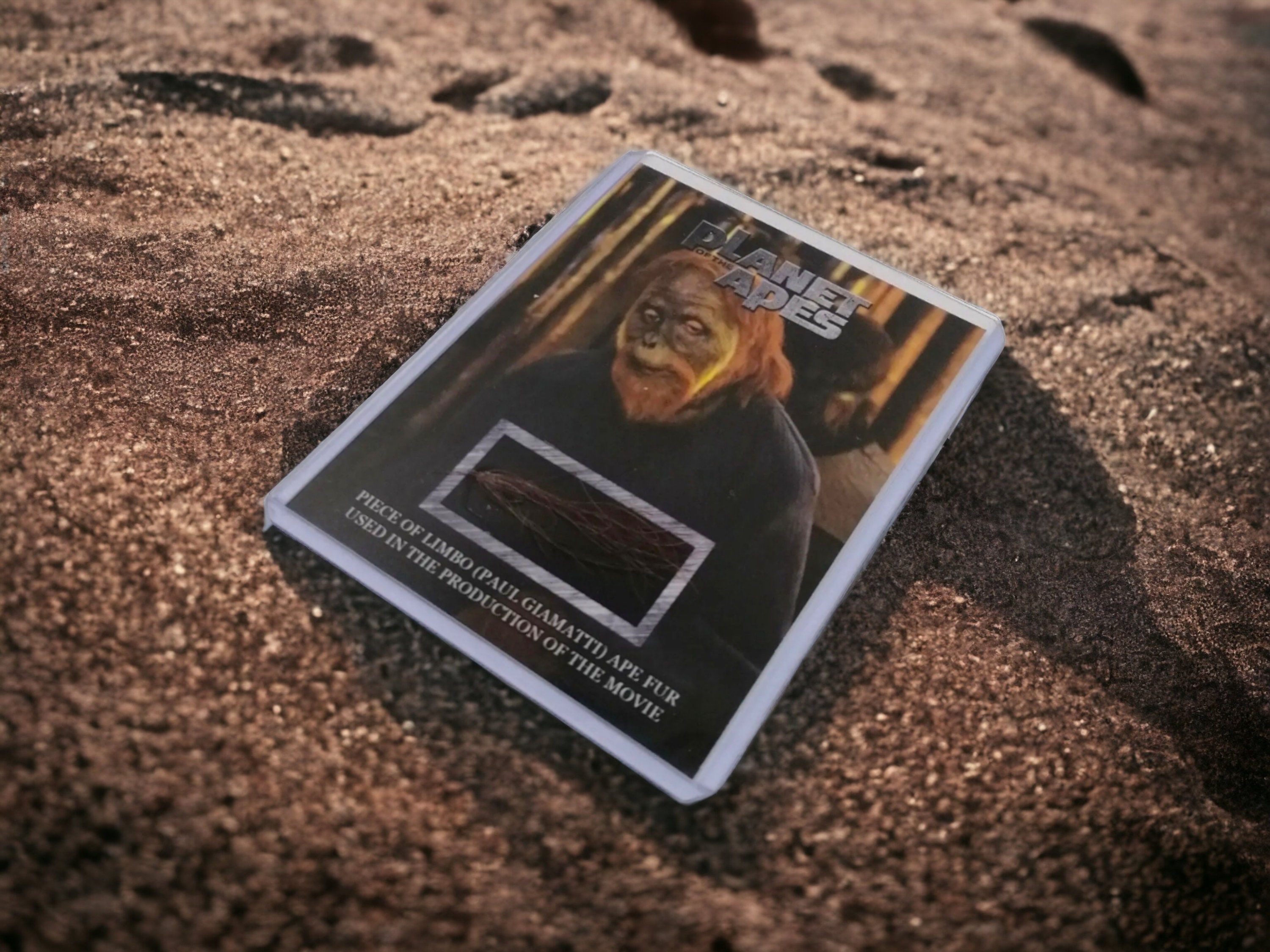 Planet of the Apes 2001 Limbo Fur Piece Movie Prop Mini Display ...