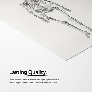 Human Skeleton, Anterior View by George Stubbs (1795–1806) | Classical ...