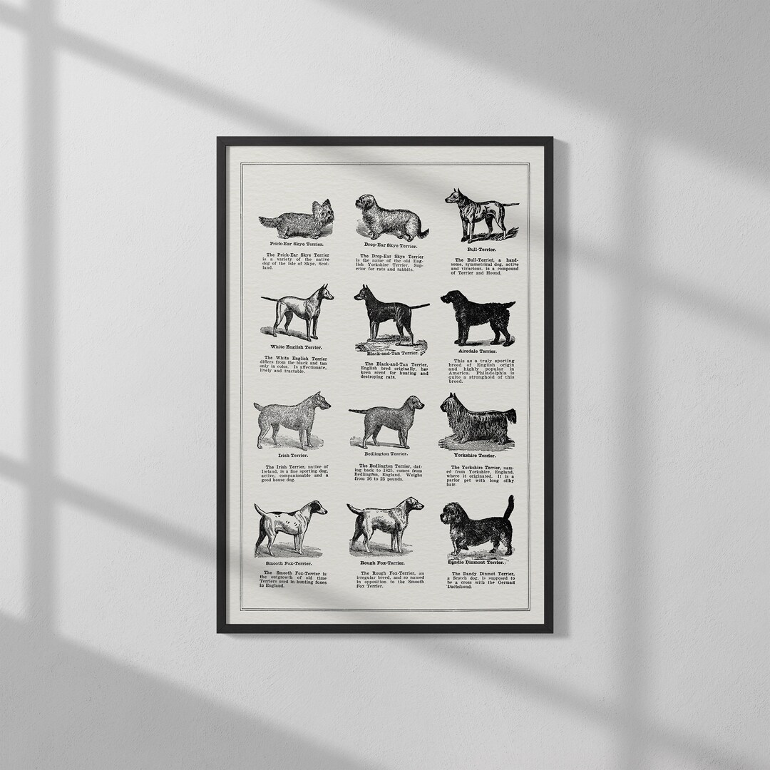 Dog Breeds by Thomas E. Hill (1915) | Classical Art Print | Vintage ...