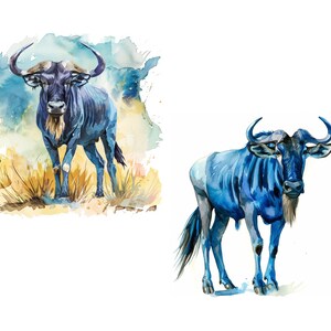 12 Blue Wildebeest Clipart, High Quality Jpgs, Instant Digital Download ...