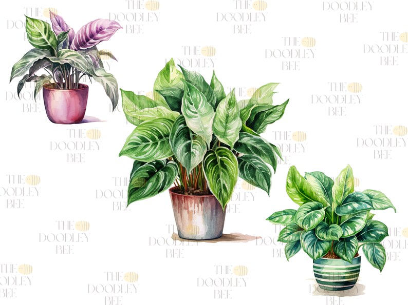 Watercolor House Plants Clipart Bundle House and Garden - Etsy