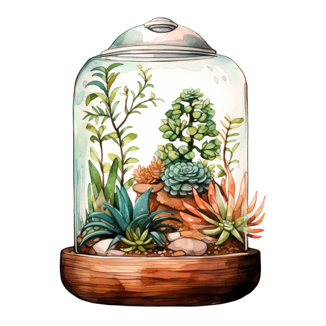 Watercolor Plant Terrarium Clipart, Digital Invitations, Digital ...