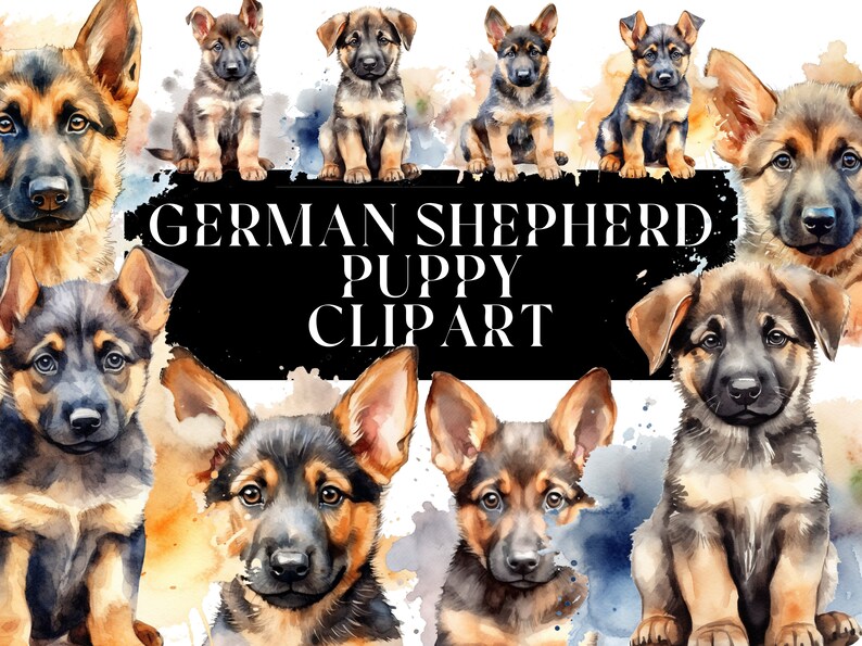 128 Dogs Clipart PNG Watercolor Puppy Clipart Bundle Pet - Etsy