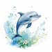 12 Watercolor Dolphins Clipart Bundle, Digital Download, Digital Paper ...