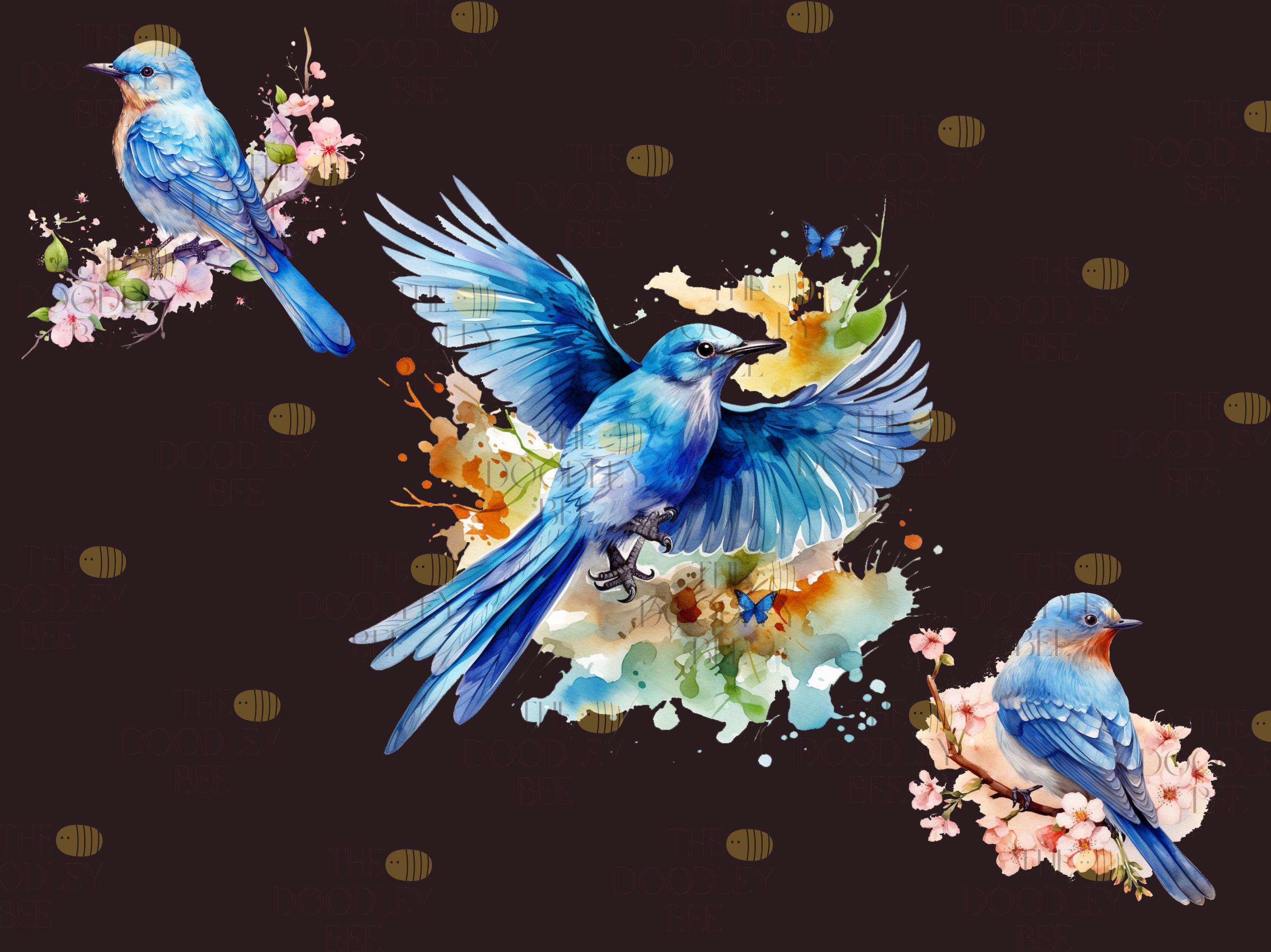 Watercolor Blue Bird Clipart 12 Pngs Digital Download Card - Etsy