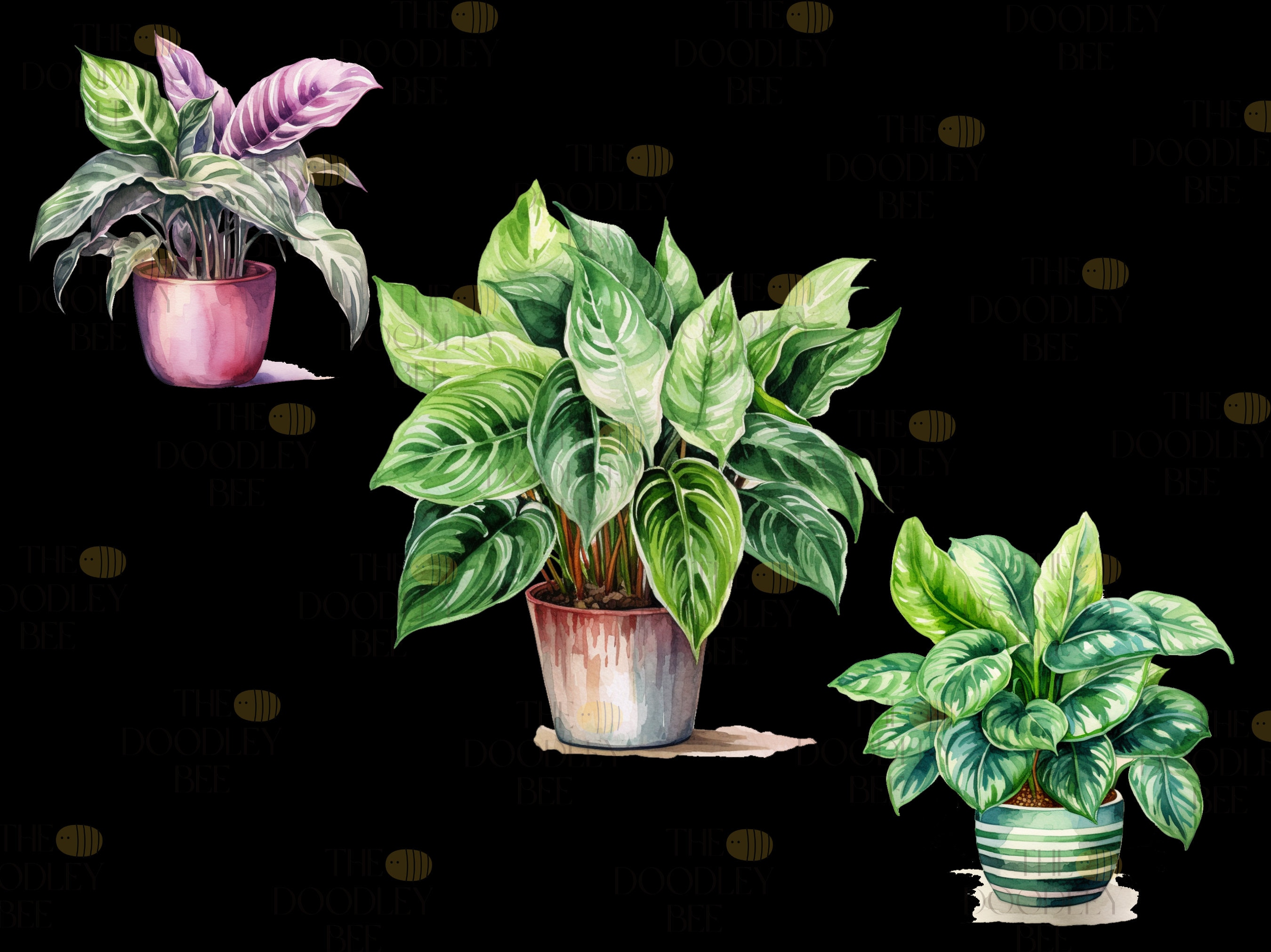 Watercolor House Plants Clipart Bundle House and Garden - Etsy