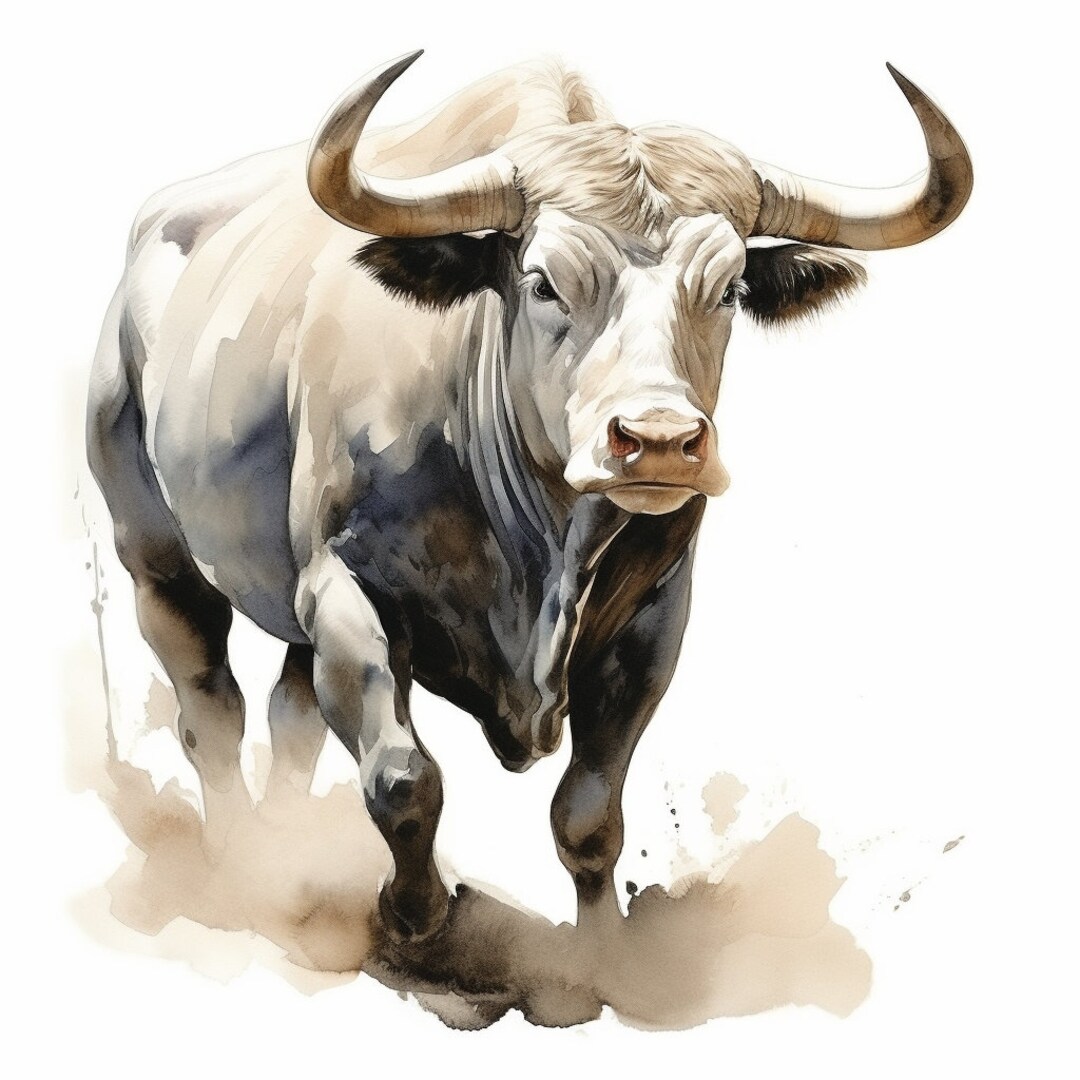 Bull Clipart, 12 High Quality Pngs, Digital Download, Card Making ...